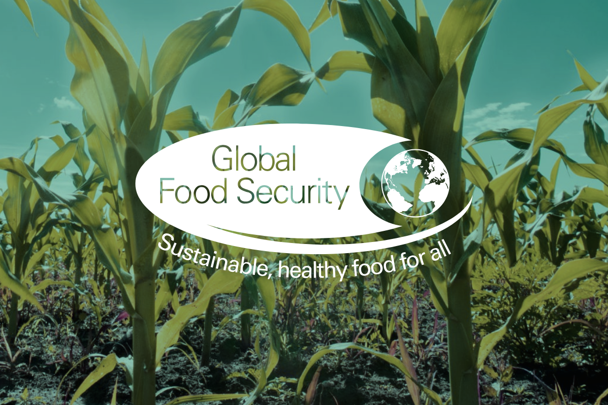 Flexible CMS WordPress Platform for Global Food Security | Case Study ...